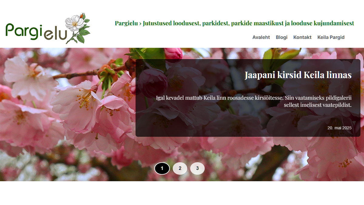 Inge Angerjas Blogi - Pargielu